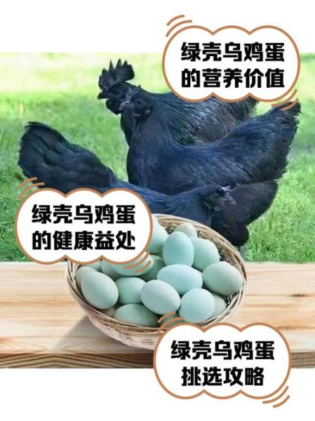 乌鸡蛋价格多少钱一斤_乌鸡蛋为什么这么贵-第3张图片-山城妙识 乌鸡蛋价格多少钱一斤_乌鸡蛋为什么这么贵-第3张图片-山城妙识