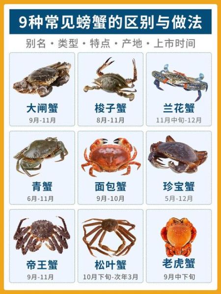 中国海蟹品种有哪些_如何区分梭子蟹与青蟹-第1张图片-山城妙识