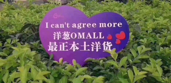 洋葱omall下载_洋葱omall安全吗-第3张图片-山城妙识