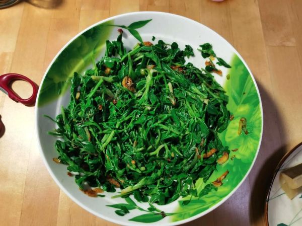 苜蓿怎么吃_苜蓿的吃法大全-第2张图片-山城妙识