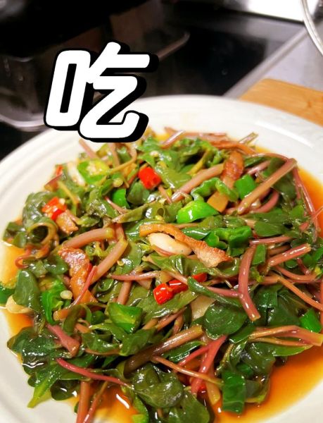 马苋菜怎么炒才好吃_马苋菜炒蛋做法-第1张图片-山城妙识