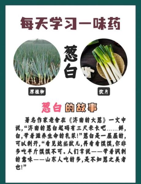 葱白可以生吃吗_葱白煮水有什么功效-第1张图片-山城妙识 葱白可以生吃吗_葱白煮水有什么功效-第1张图片-山城妙识
