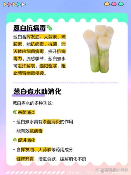 葱白可以生吃吗_葱白煮水有什么功效-第2张图片-山城妙识 葱白可以生吃吗_葱白煮水有什么功效-第2张图片-山城妙识