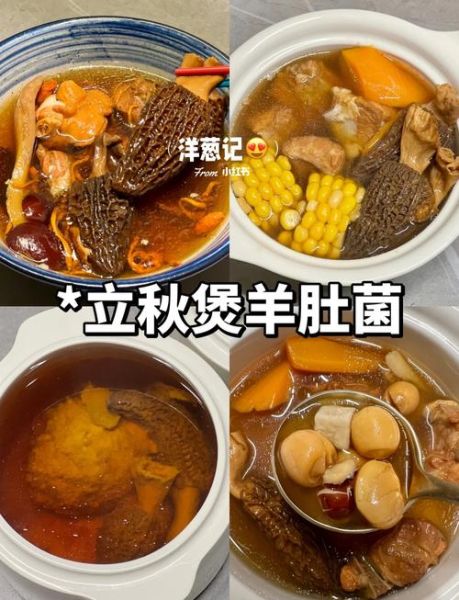 羊肚菌汤怎么煲好喝_羊肚菌汤的家常做法-第3张图片-山城妙识