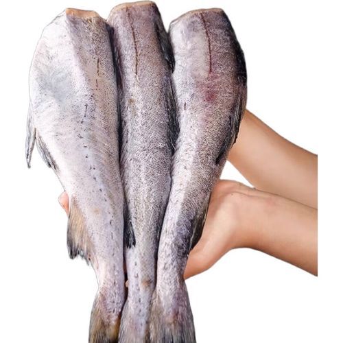 水鳕鱼能不能吃_水鳕鱼安全吗-第1张图片-山城妙识