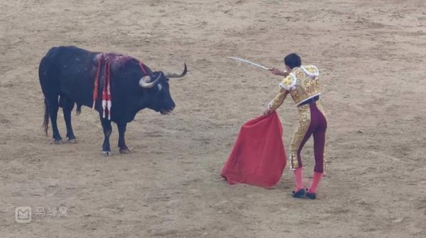 西班牙斗牛起源_西班牙斗牛是否残忍-第1张图片-山城妙识 西班牙斗牛起源_西班牙斗牛是否残忍-第1张图片-山城妙识