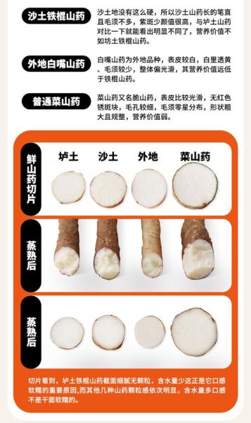 女人吃铁棍山药的功效与作用_铁棍山药对女性的好处有哪些-第2张图片-山城妙识 女人吃铁棍山药的功效与作用_铁棍山药对女性的好处有哪些-第2张图片-山城妙识