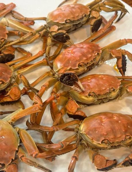 军山湖大闸蟹怎么挑选_正宗军山湖大闸蟹图片特征-第2张图片-山城妙识