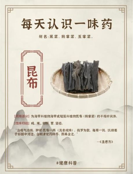 昆布是什么_昆布的功效与作用-第1张图片-山城妙识 昆布是什么_昆布的功效与作用-第1张图片-山城妙识