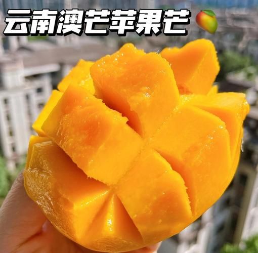 苹果芒怎么吃_苹果芒的正确吃法-第1张图片-山城妙识 苹果芒怎么吃_苹果芒的正确吃法-第1张图片-山城妙识