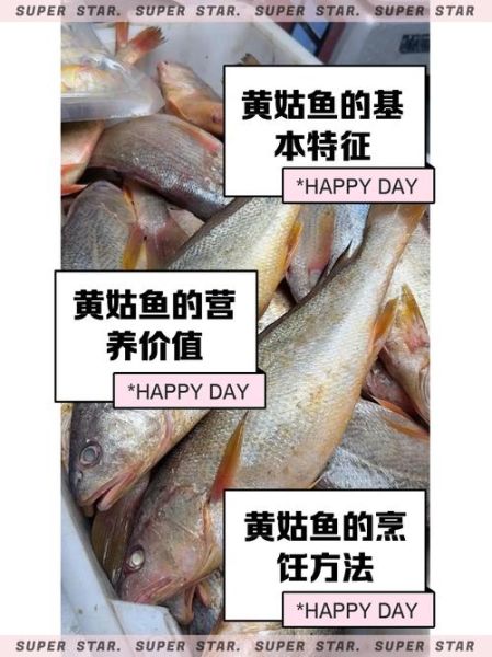 黄姑鱼图片怎么区分_黄姑鱼图片高清特征-第1张图片-山城妙识 黄姑鱼图片怎么区分_黄姑鱼图片高清特征-第1张图片-山城妙识