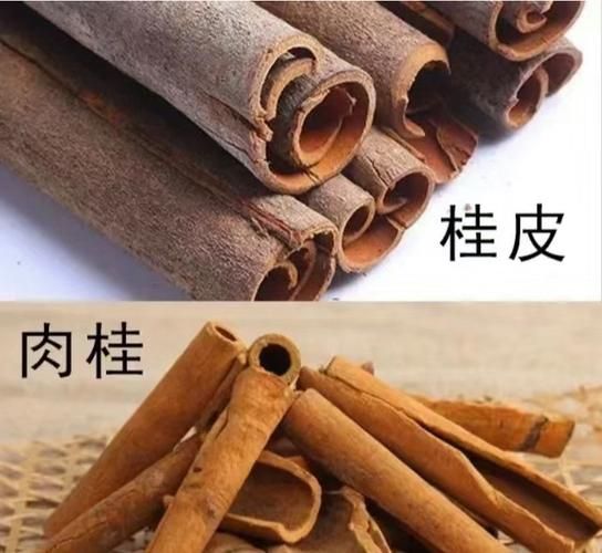 肉桂粉是桂皮打的粉吗_肉桂粉和桂皮的区别-第1张图片-山城妙识 肉桂粉是桂皮打的粉吗_肉桂粉和桂皮的区别-第1张图片-山城妙识