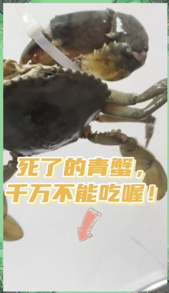 海蟹死了能不能吃_死了多久不能吃-第1张图片-山城妙识