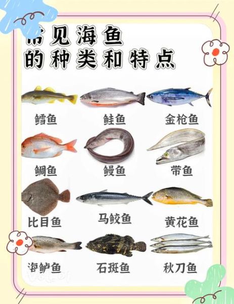海鱼品种图片大全大图_如何快速识别常见海鱼-第2张图片-山城妙识