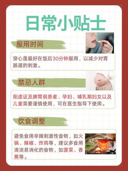 穿心莲治慢性咽喉炎吗_有效吗-第3张图片-山城妙识