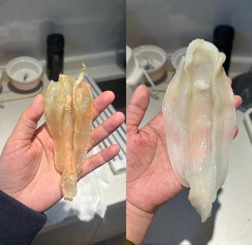 鱼胶怎么泡发_鱼胶食用禁忌有哪些-第2张图片-山城妙识