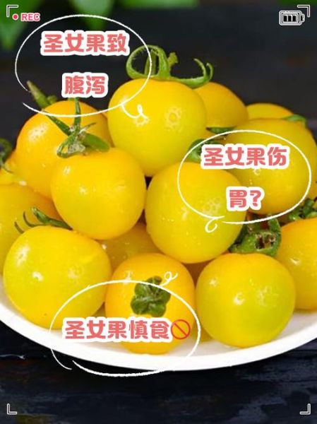 圣女果不能和什么一起吃_圣女果禁忌人群有哪些-第1张图片-山城妙识