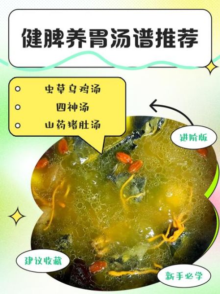 养胃汤的做法大全家常_养胃汤怎么炖最养胃-第3张图片-山城妙识