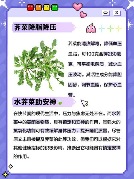 荠菜煮水喝有什么功效_荠菜水能天天喝吗-第2张图片-山城妙识