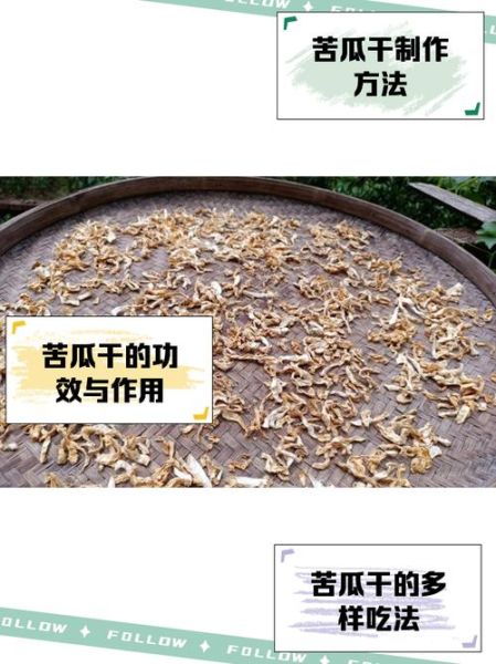 苦瓜干怎么制作_苦瓜干制作方法-第1张图片-山城妙识