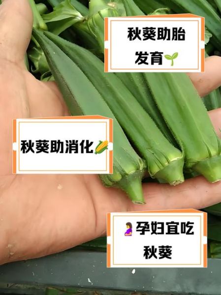 孕妇能吃秋葵吗_秋葵对胎儿有什么好处-第1张图片-山城妙识