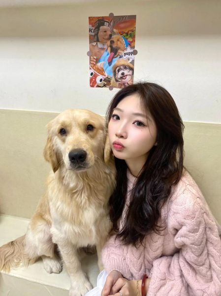 奶油犬多少钱一只_奶油犬价格影响因素-第1张图片-山城妙识