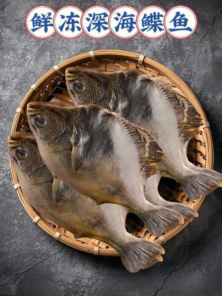 深海鲽鱼多少钱一斤_深海鲽鱼怎么做最好吃-第2张图片-山城妙识 深海鲽鱼多少钱一斤_深海鲽鱼怎么做最好吃-第2张图片-山城妙识