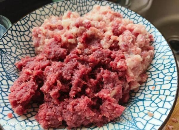 儿童牛肉饼怎么做_牛肉饼怎么做才嫩-第2张图片-山城妙识