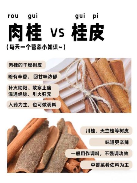 肉桂和桂皮是一个东西吗_区别与功效全解析-第1张图片-山城妙识