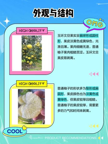 文旦是什么水果_文旦和柚子的区别-第1张图片-山城妙识