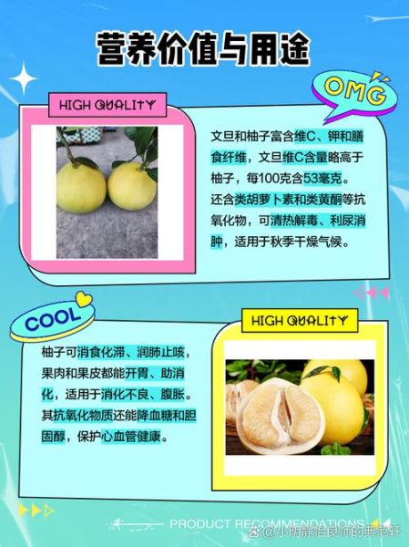 文旦是什么水果_文旦和柚子的区别-第2张图片-山城妙识