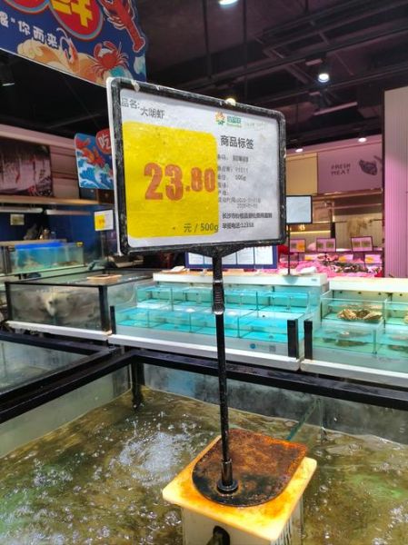 活明虾多少钱一斤_活明虾价格受哪些因素影响-第1张图片-山城妙识