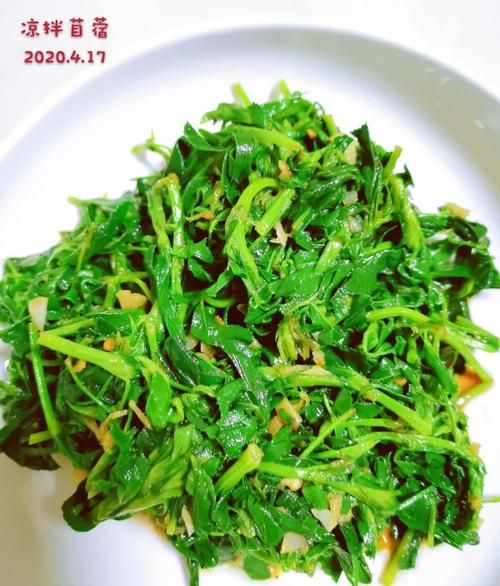 苜蓿草怎么吃_苜蓿草食用方法大全-第1张图片-山城妙识