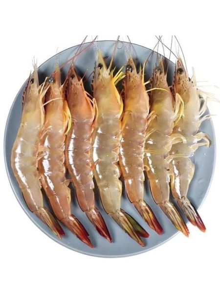 活明虾多少钱一斤_活明虾价格受哪些因素影响-第3张图片-山城妙识