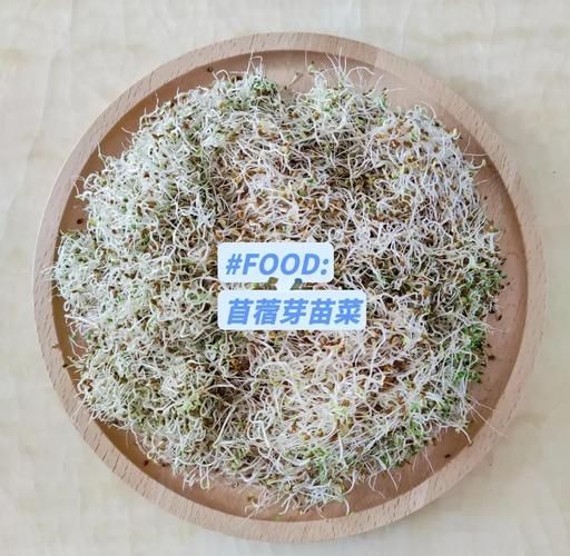 苜蓿草怎么吃_苜蓿草食用方法大全-第3张图片-山城妙识