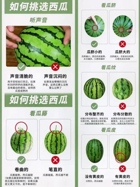 西瓜怎么挑才知道是甜的_西瓜甜不甜看哪里-第1张图片-山城妙识