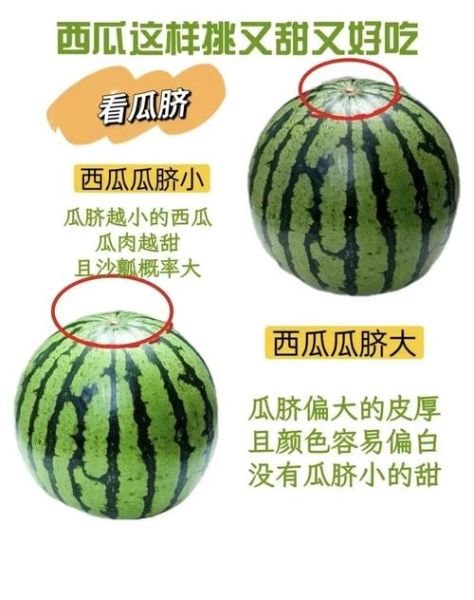 西瓜怎么挑才知道是甜的_西瓜甜不甜看哪里-第2张图片-山城妙识