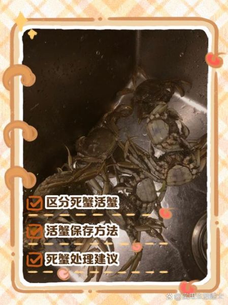 新鲜螃蟹怎么保存到第二天_活蟹隔夜存放方法-第2张图片-山城妙识