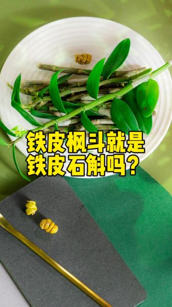 铁皮枫斗和石斛的区别_哪个功效更好-第1张图片-山城妙识 铁皮枫斗和石斛的区别_哪个功效更好-第1张图片-山城妙识