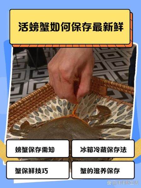 新鲜螃蟹怎么保存到第二天_活蟹隔夜存放方法-第3张图片-山城妙识