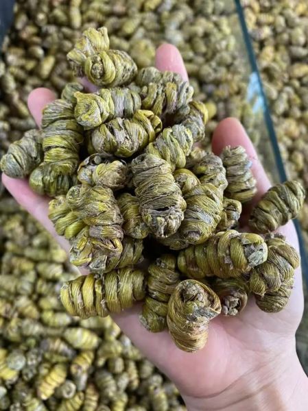 铁皮枫斗和石斛的区别_哪个功效更好-第3张图片-山城妙识 铁皮枫斗和石斛的区别_哪个功效更好-第3张图片-山城妙识