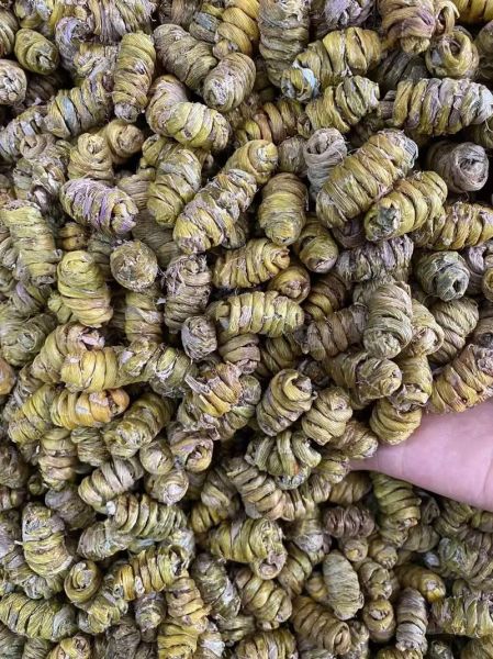 铁皮枫斗和石斛的区别_哪个功效更好-第2张图片-山城妙识 铁皮枫斗和石斛的区别_哪个功效更好-第2张图片-山城妙识