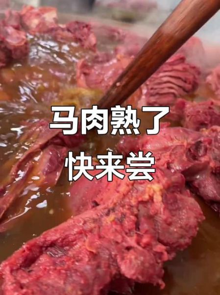 家常炖马肉怎么做好吃_马肉炖多久才软烂-第2张图片-山城妙识