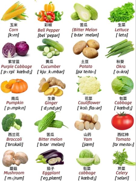蔬菜英语单词怎么读_常见蔬菜英文发音全解析-第1张图片-山城妙识