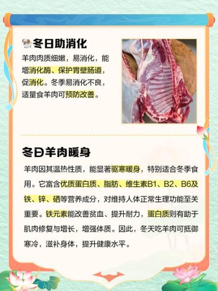 夏天吃羊肉会上火吗_夏天吃羊肉的好处与功效-第1张图片-山城妙识