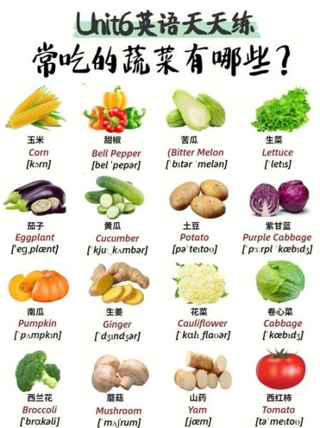 蔬菜英语单词怎么读_常见蔬菜英文发音全解析-第3张图片-山城妙识