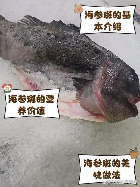 红烧海参斑怎么做_海参斑为什么先焯水-第1张图片-山城妙识