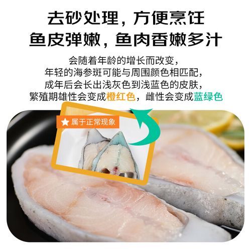 红烧海参斑怎么做_海参斑为什么先焯水-第2张图片-山城妙识