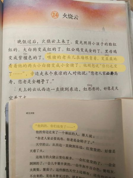 火烧云课文作者是谁_作者萧红生平简介-第3张图片-山城妙识