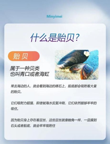 贻贝粘蛋白修复皮肤有用吗_贻贝粘蛋白功效与作用-第1张图片-山城妙识